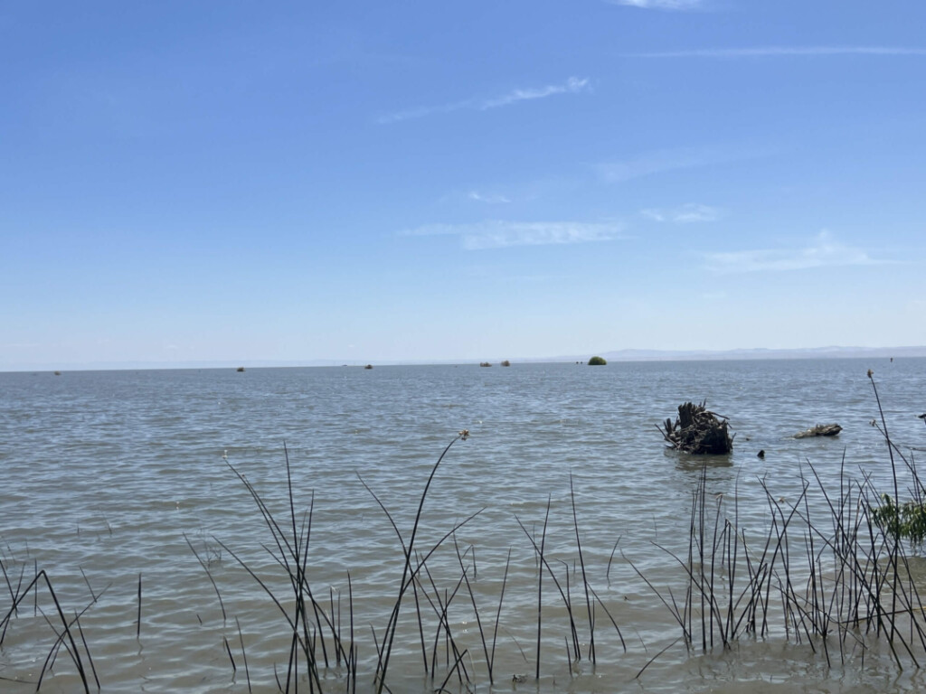 The resurgence of Tulare Lake in California - Sierra Nevada Alliance