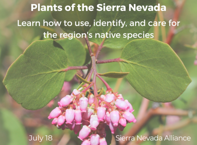Sierra Nevada Alliance - Protecting and Restoring the Sierra Since 1993