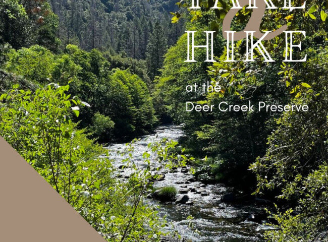 Sierra Nevada Alliance - Protecting and Restoring the Sierra Since 1993